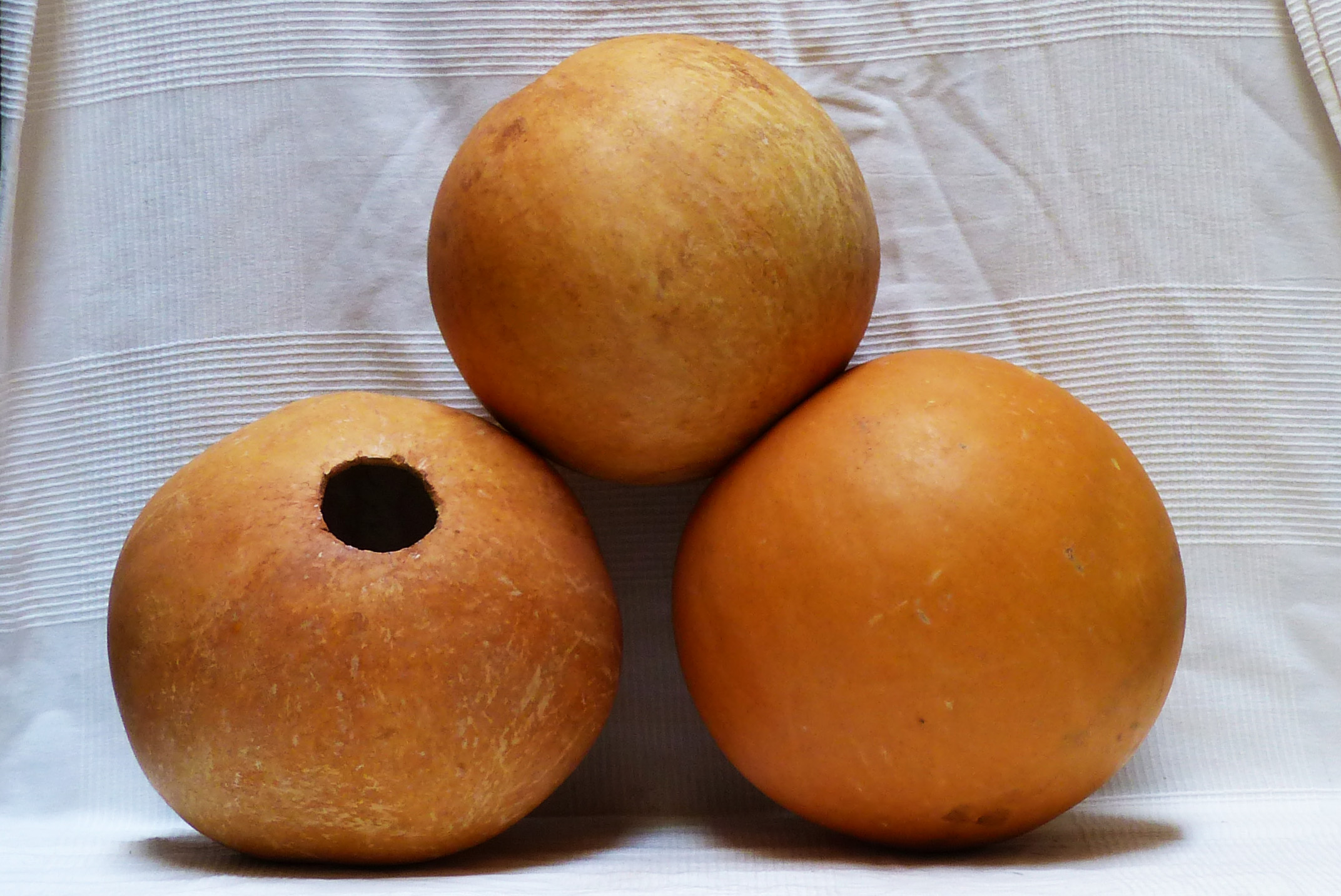 Calabash S 21-22 - Ø21-22 cm whole calabash - Spherical gourd
